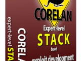 Corelan Consulting Exploit Development Training For Windows
