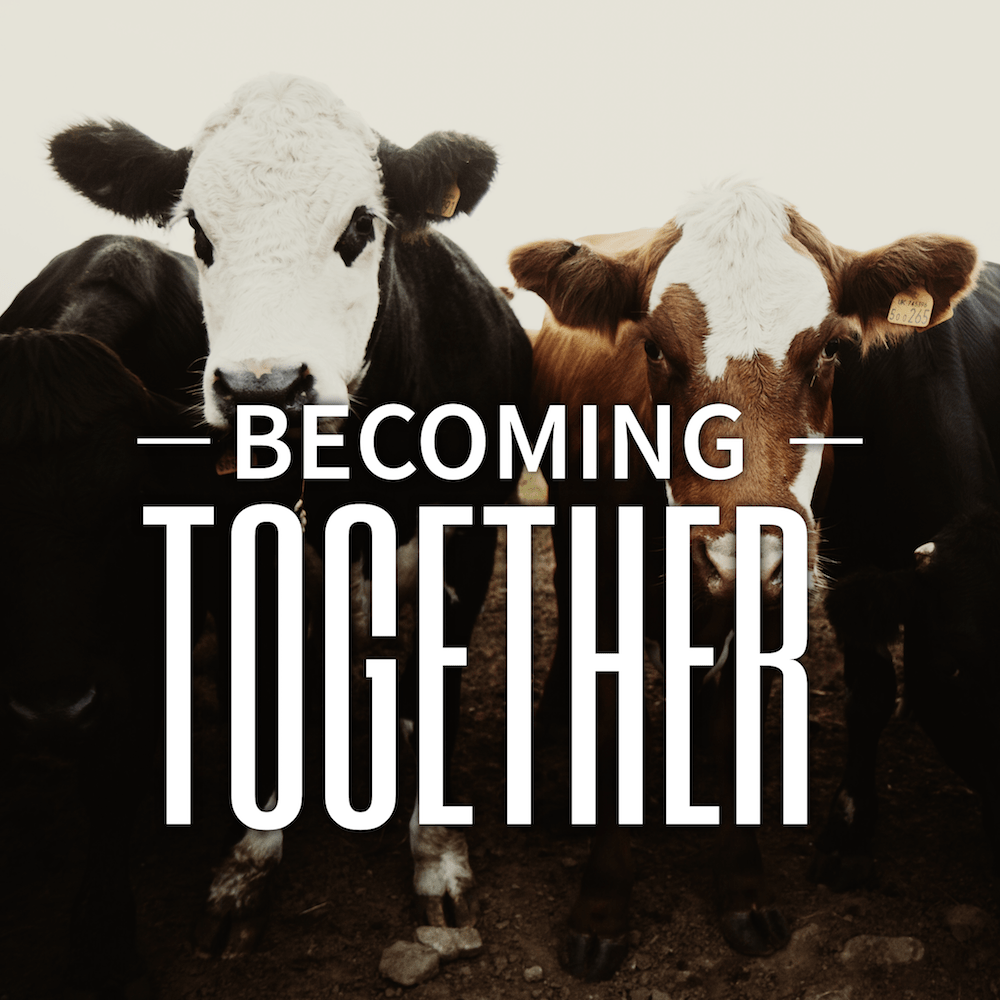 Becoming Together - corey trevathan
