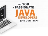 Java Developer