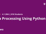 Data Processing Using Python Coursya