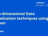 High Dimensional Data Visualization Techniques Using Python Coursya