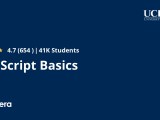 Javascript Basics Coursya