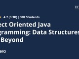 Object Oriented Java Programming Data Structures And Beyond