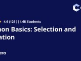 Python Basics Selection And Iteration Coursya
