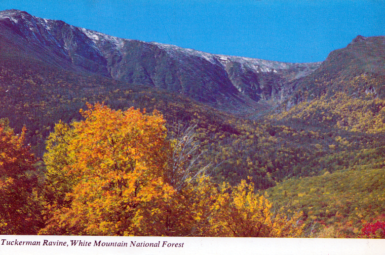 White Mountain National Forest, New Hampshire: Edward Tuckerman and ...