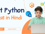 ब स ट प इथन क र स ह द म 2026 Best Python Course In Hindi Craw