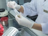 Biospecimen Processing Protocol Creative Bioarray Creative Bioarray