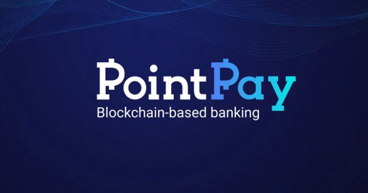 PointPay: Staking Reemplazará Completamente A La Minería - Criptotendencias - Noticias De ...