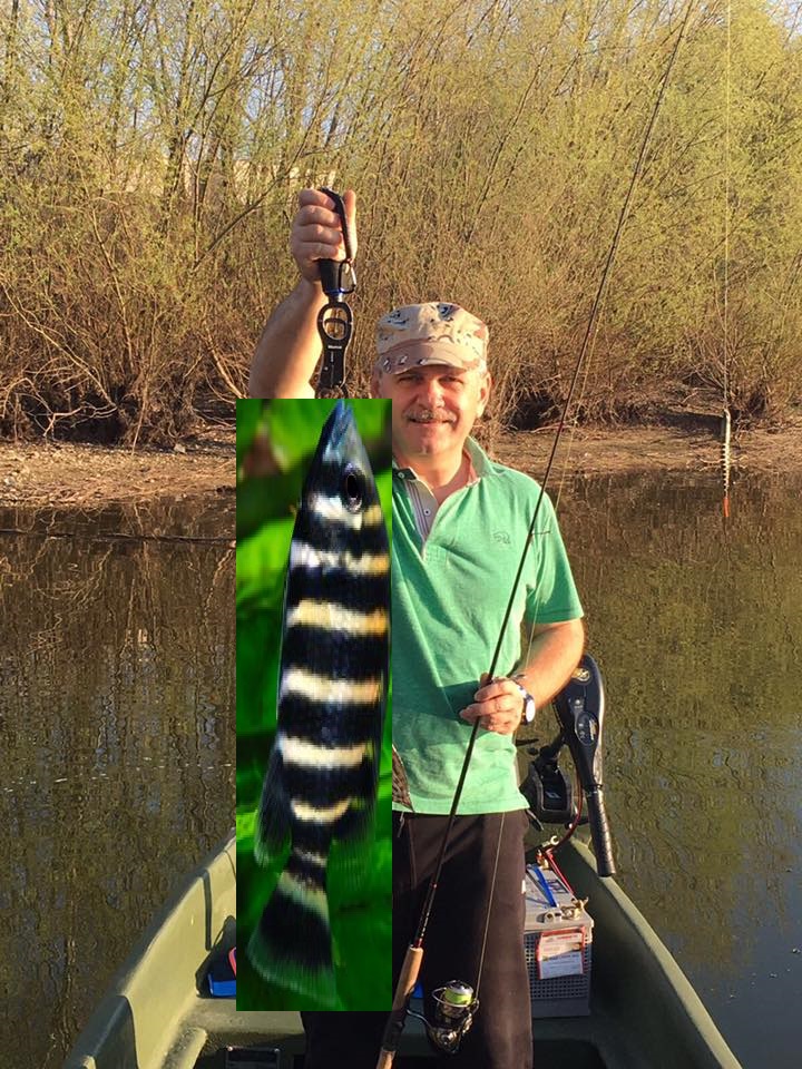 Dragnea a dat la stiuca, dar toti romanii asteapta sezonul de peste ...