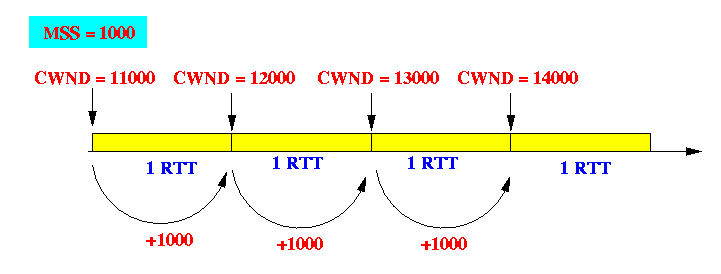 CS455 Syllabus & Progress