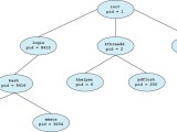 Operating Systems Processes