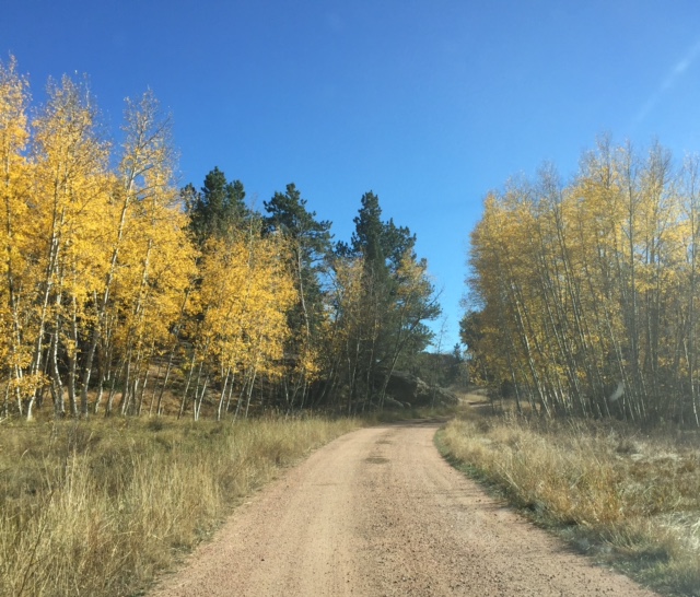 Fasting on Praise Mountain