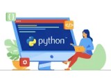 Python Website Development Css Founder