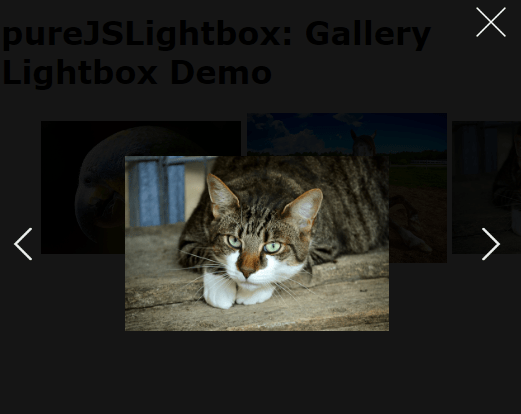 Easy Gallery Lightbox In Pure Javascript Purejslightbox Css Script 7335