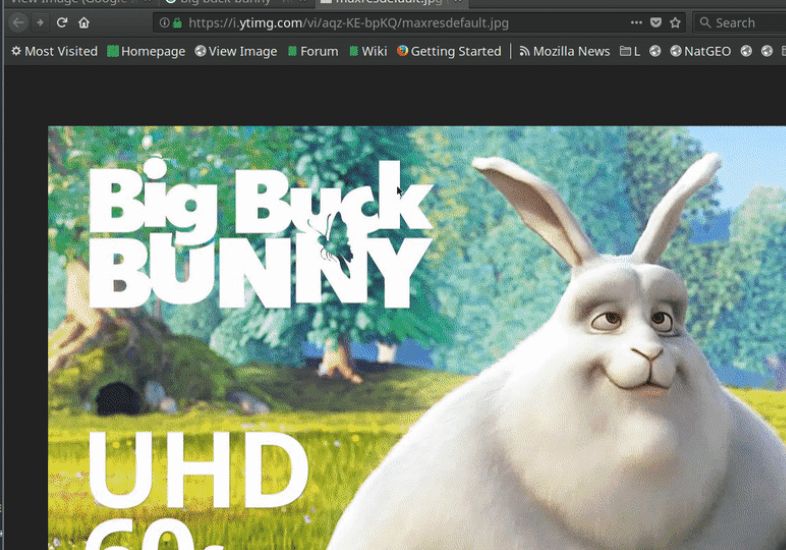 Fix The Google View Image Feature - viewimage.js | CSS Script