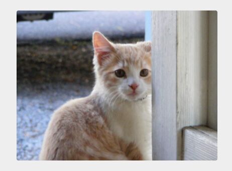 10 Best Lazy Loading JavaScript Libraries (2023 Update) - CSS Script