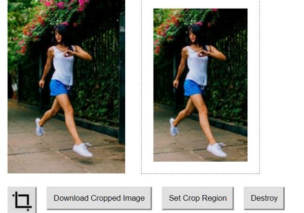 Best Free Image Cropping Plugins In Javascript Css Script