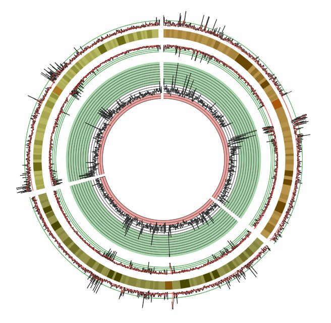 Visualize Data In A Circular Layout Circosjs Css Script