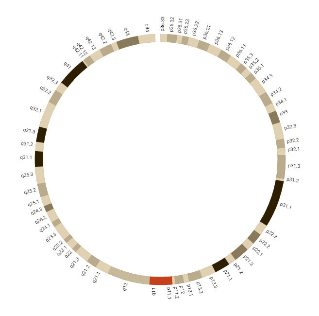 Visualize Data In A Circular Layout Circosjs Css Script