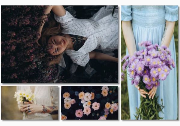 Best Free photo gallery In JavaScript & CSS - CSS Script