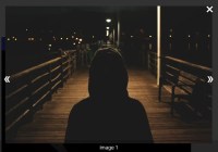 40+ Latest Free Gallery Lightbox Libraries In Pure JavaScript And CSS ...