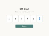 One Time Password Input With Vanilla Javascript Otp Input Js Css Script