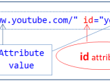 7 Css Attribute Selectors Explained With Example And Dom Tree
