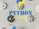 Python Academy