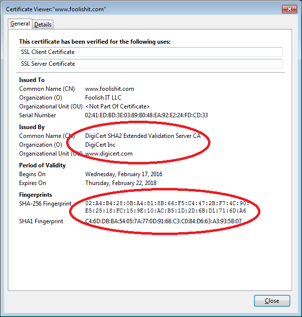 Extended Validation Certificate and NoScript – d7xTech.com (formerly ...