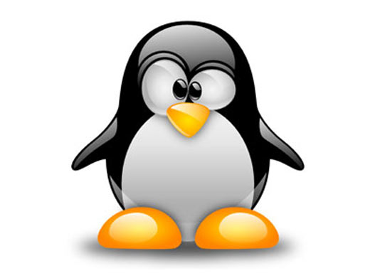 precio del sistema operativo linux | Nando Del Mal