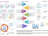 Multi Vendor Ecommerce Website Multi Vendor Ecommerce Website Development