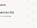 Databricks Sql Databricks