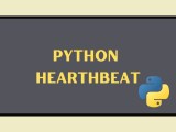 Python With Heartbeat