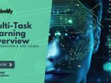 Multi Task Learning Overview Optimization Use Cases