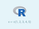 R Vector With Examples