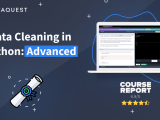 Learn Advanced Data Cleaning In Python Dataquest