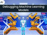 The Art Of Debugging Machine Learning Algorithms Insights And Best