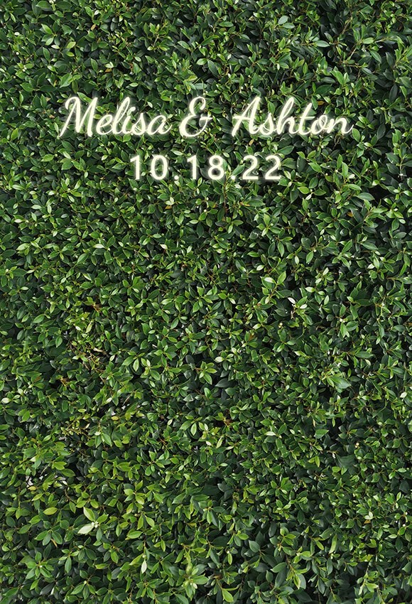 Green Leaves Wedding Ceremony Custom Backdrop D754