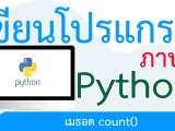 Python น บจำนวนข อม ลท ระบ ใน Tuple ด วยเมธอด Count