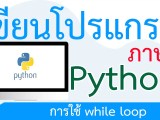 Python การใช While Loop ด คร บดอทคอม