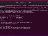 How To Install Python 3 10 In Ubuntu And Other Related Linux
