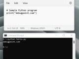 How To Install Python On Windows Beginner S Guide