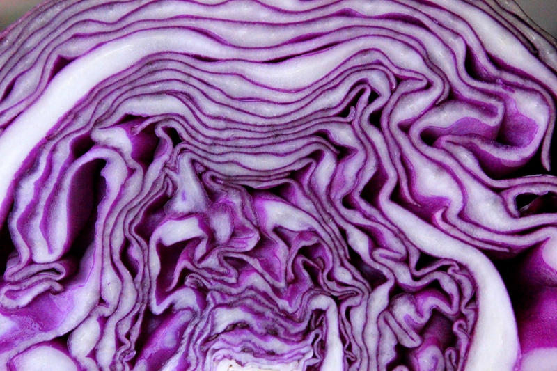 Pigments, pH, and Beautiful Food Colors - Decoding Delicious