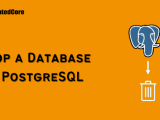 To Drop A Database In Postgresql 2 Command Line Options