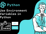 How To Use Environment Variables In Python
