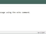 El Comando Echo En Batch Delft Stack