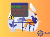 Git Pull이 모든 것을 당기지 않음 Delft Stack