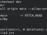 How To Pull Master Into Branch In Git Delft Stack