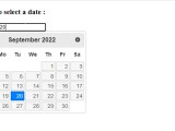 How To Change Format In Html Datepicker Delft Stack