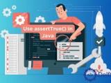 How To Use Asserttrue In Java Delft Stack